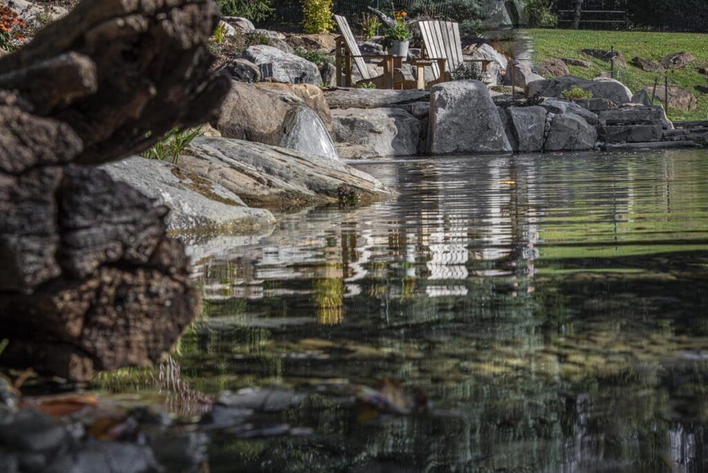 Natural Swimming Pools Add Tranquility to Your West Chester, PA Home