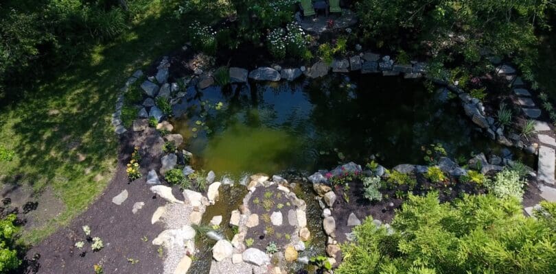 How to Maintain Dirt Bottom Ponds in Chester County
