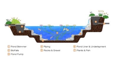 Biological Filtration for Ponds